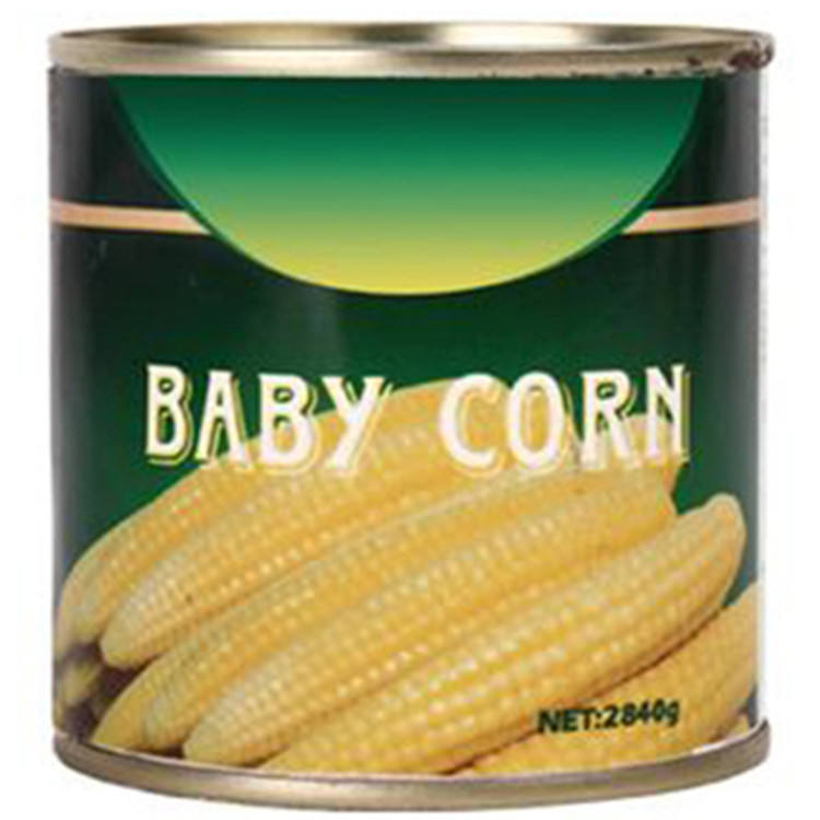 Global Supplier Most Popular Cans Best Canned Baby Corn In Brine With ...